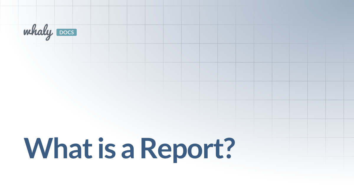 What is a Report? | Documentation