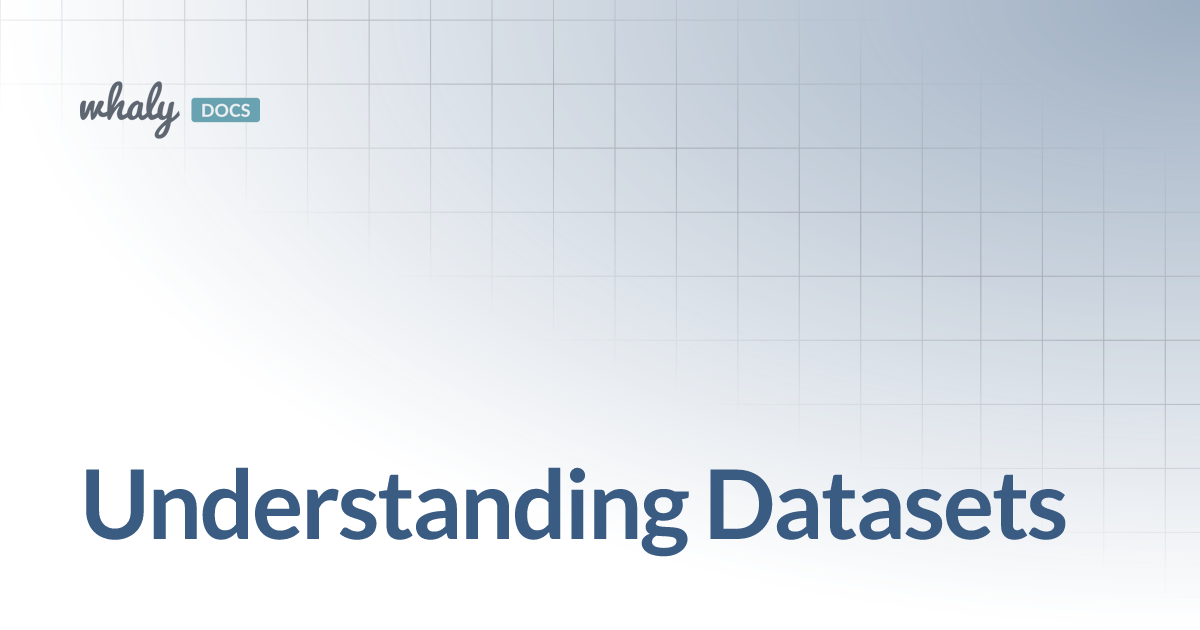 Understanding Datasets | Documentation